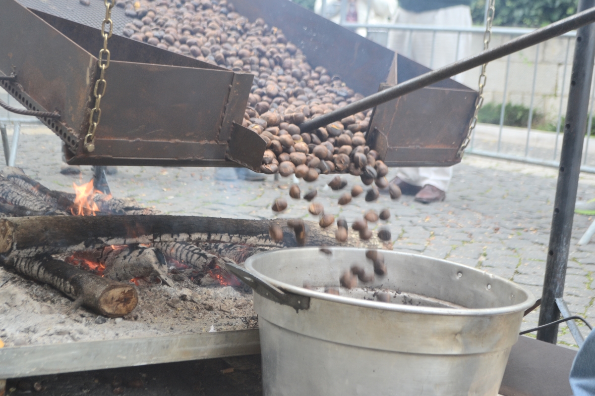 San Potito Ultra| San Potito, oltre la semplice sagra: cultura e ...