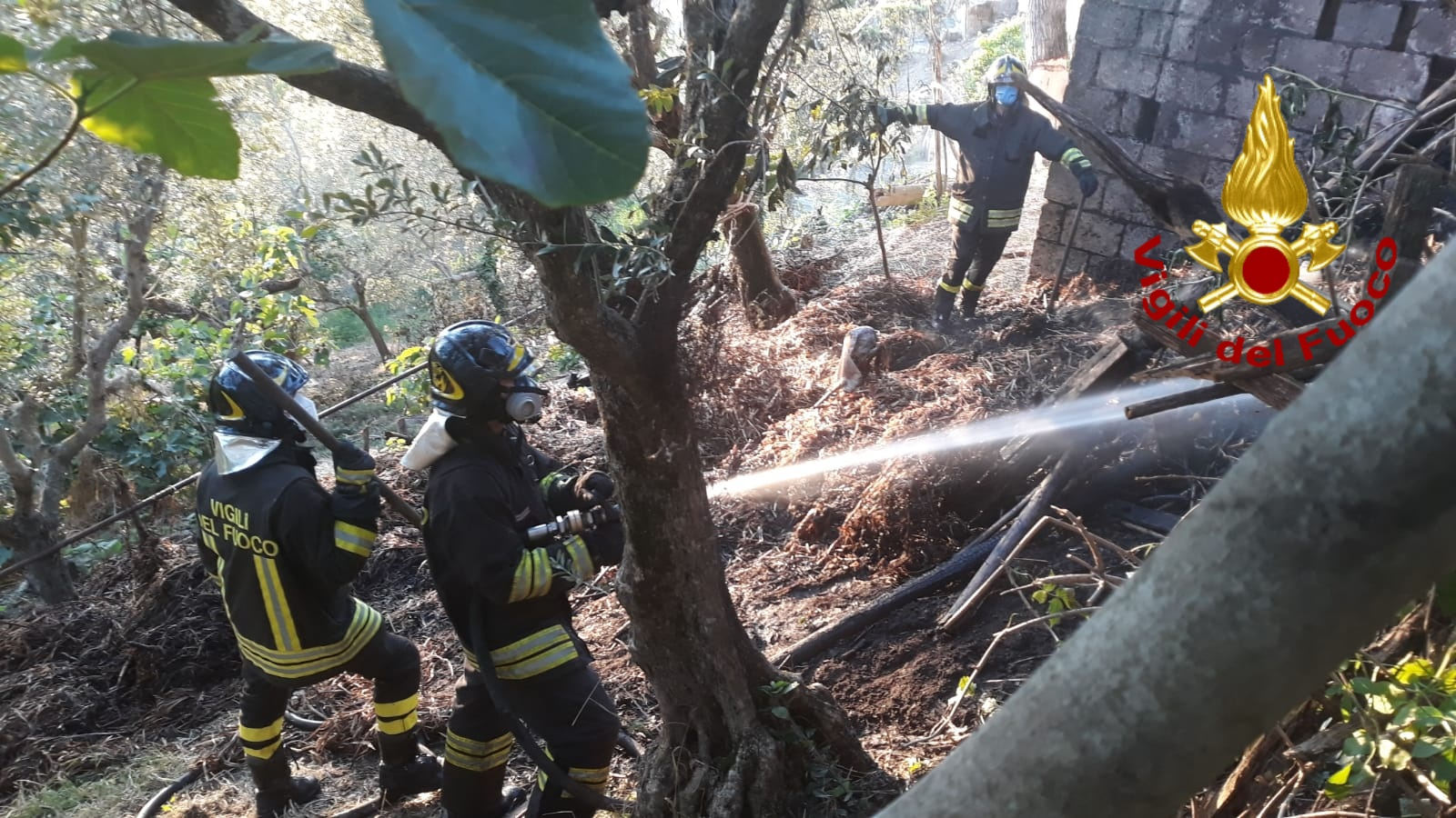 Ariano Irpino| Incendio in un deposito agricolo, vigili del fuoco al ... Ariano Irpino| Incendio in un deposito agricolo, vigili del fuoco al ...