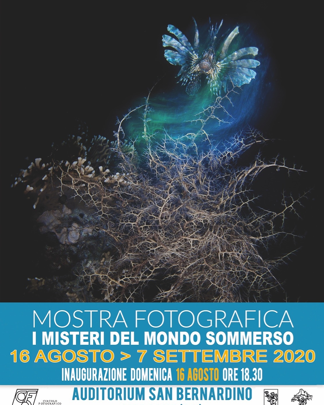 eeeee - Lab TV Lab TV